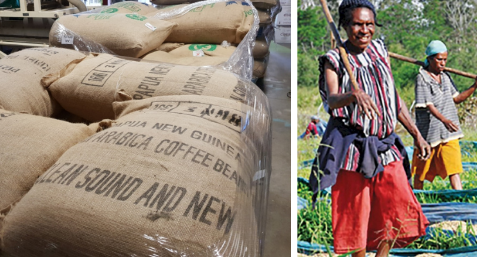 The high quality of PNG Coffee – la Casa del Caffe